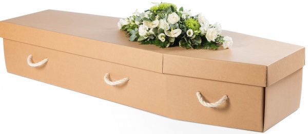 Cardboard Coffin with Woodgrain effect - The green coffin company.com