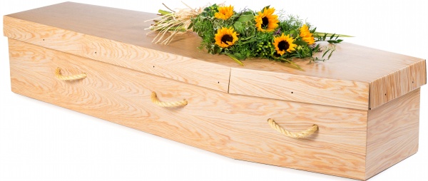 Cardboard Coffin with Woodgrain effect - The green coffin company.com