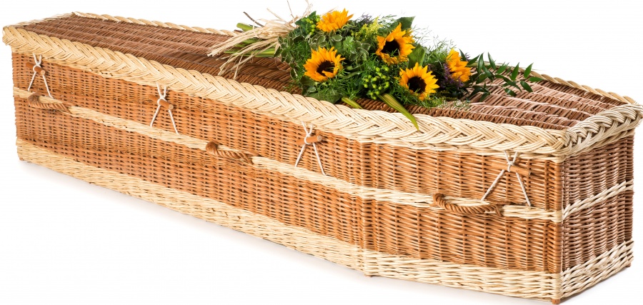 English Willow Traditional Coffin with Light Bands - The green coffin ...